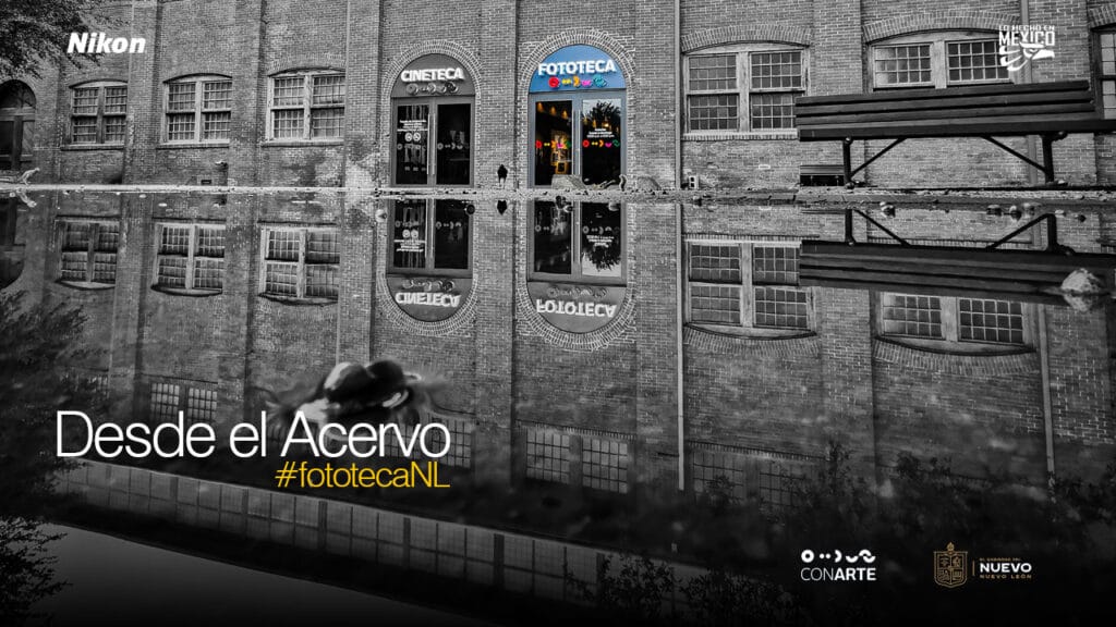 Acervo: Definición y Diferencias del Adjetivo Acerbo