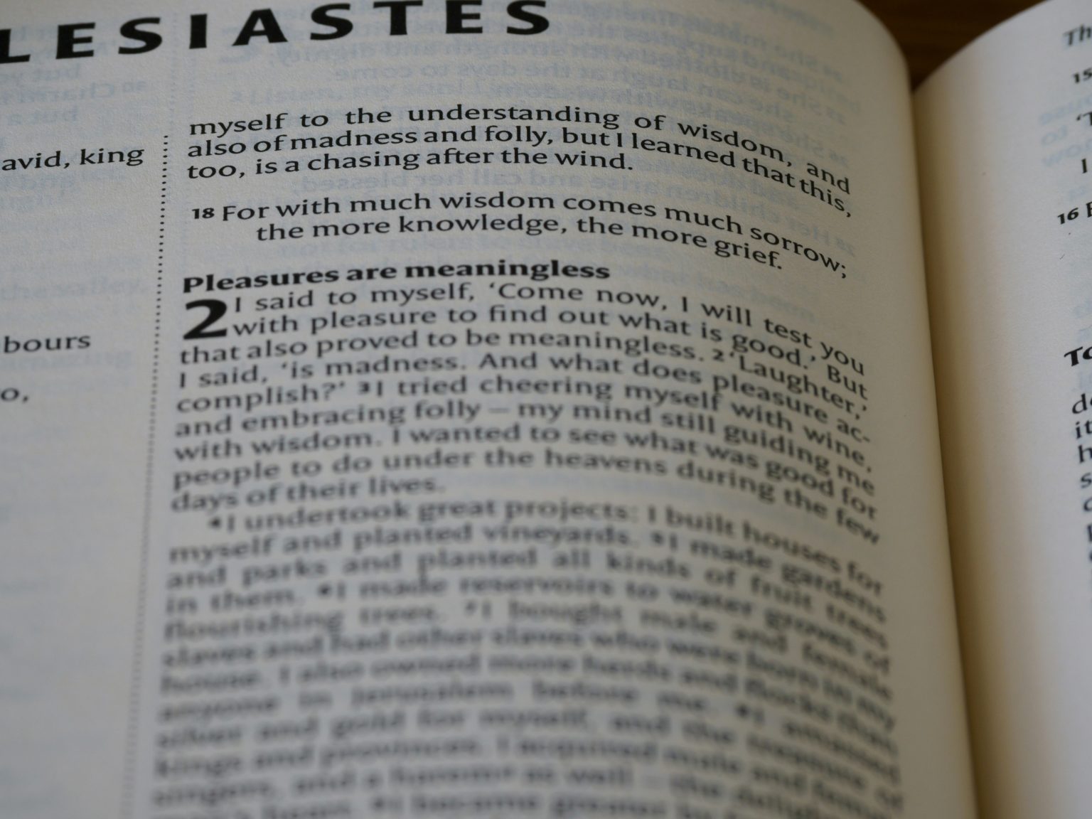 Adjetivos Demostrativos: Definición y Ejemplos Completos