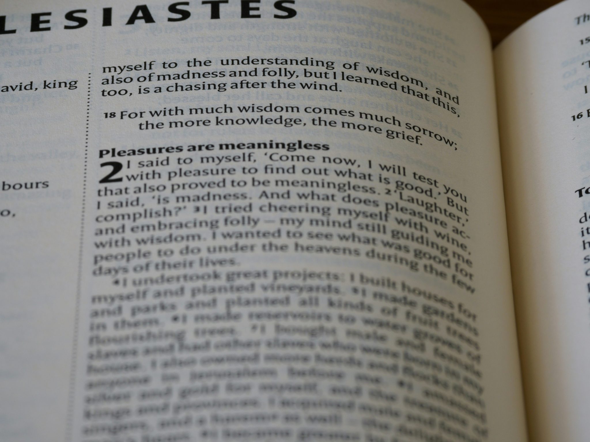 Adjetivos Demostrativos: Definición y Ejemplos Completos