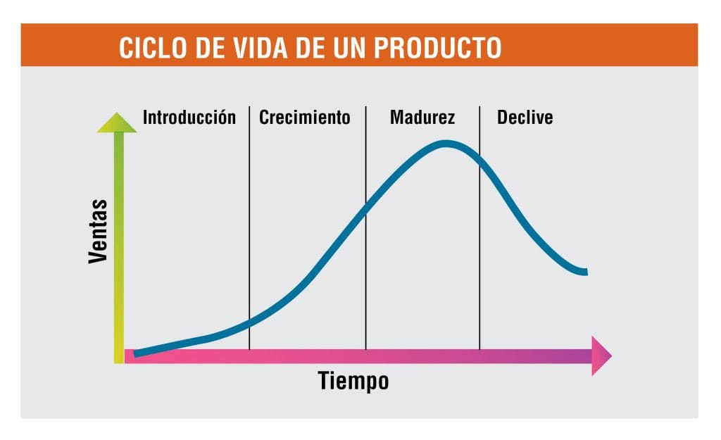 Ciclo de Vida: Conceptos, Etapas y Aplicaciones