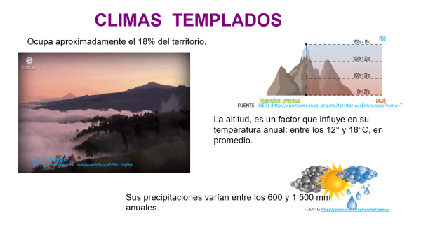 Clima Cálido: Tipos, Climas y Ecosistemas