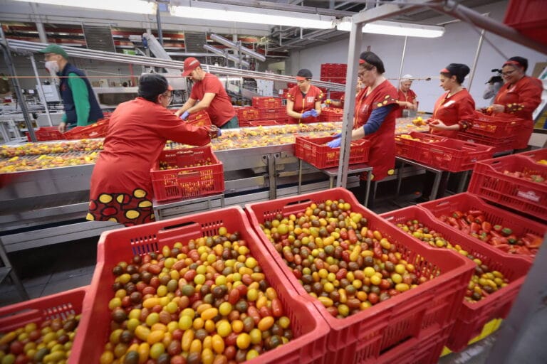 Cooperativa: Definición, Tipos y Beneficios