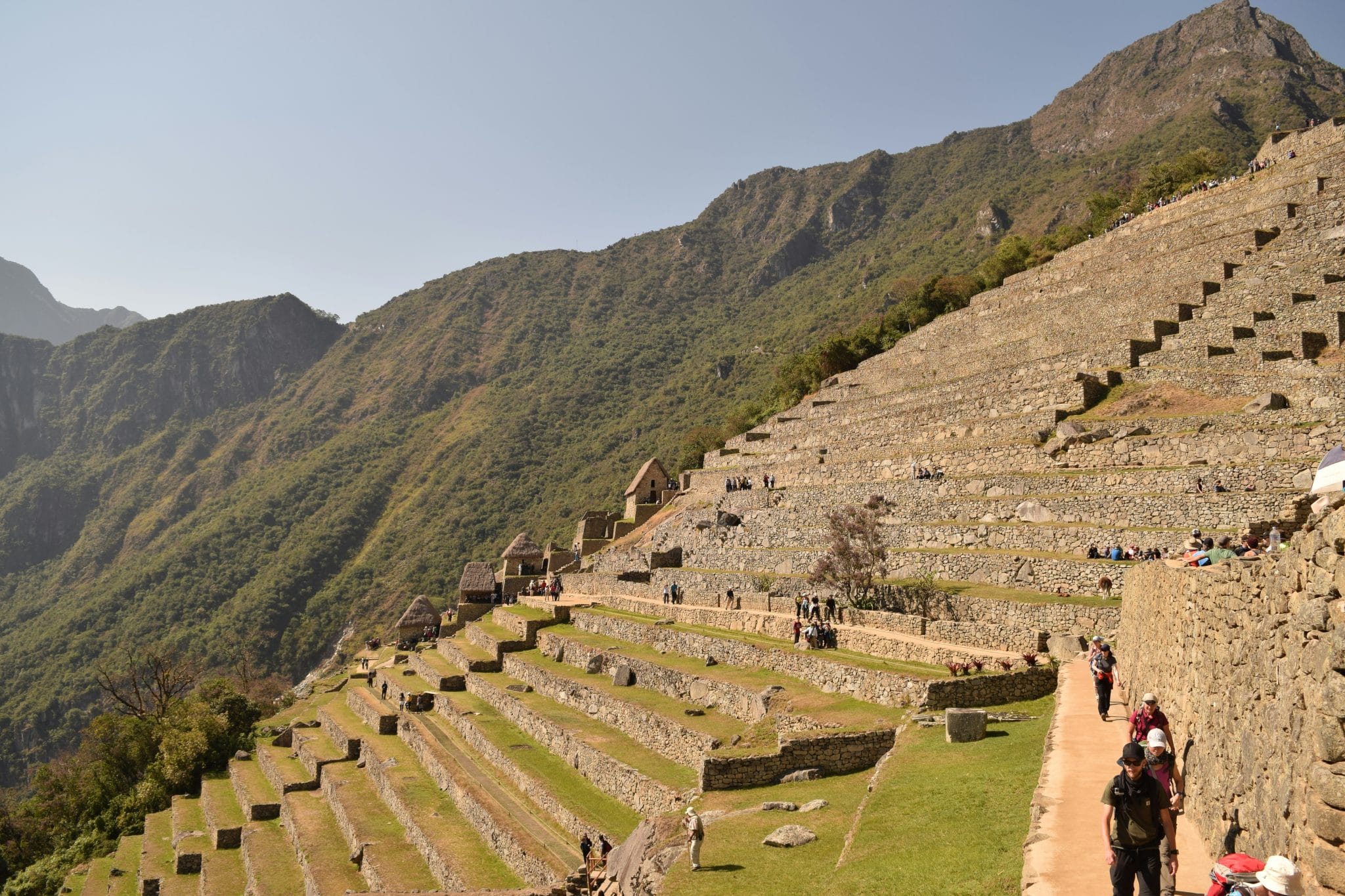 Cultura Inca: Historia, Arquitectura y Legado