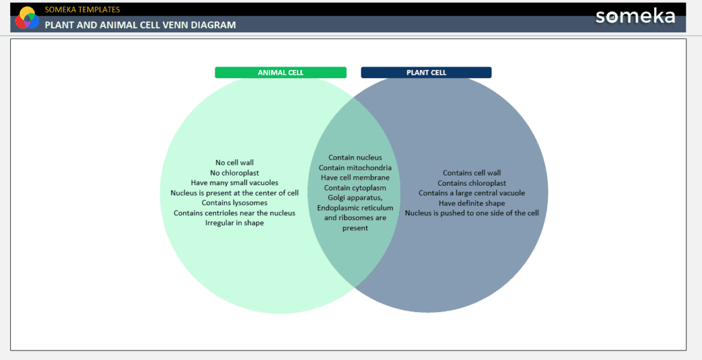 Diagrama de Venn: Características y Ejemplos