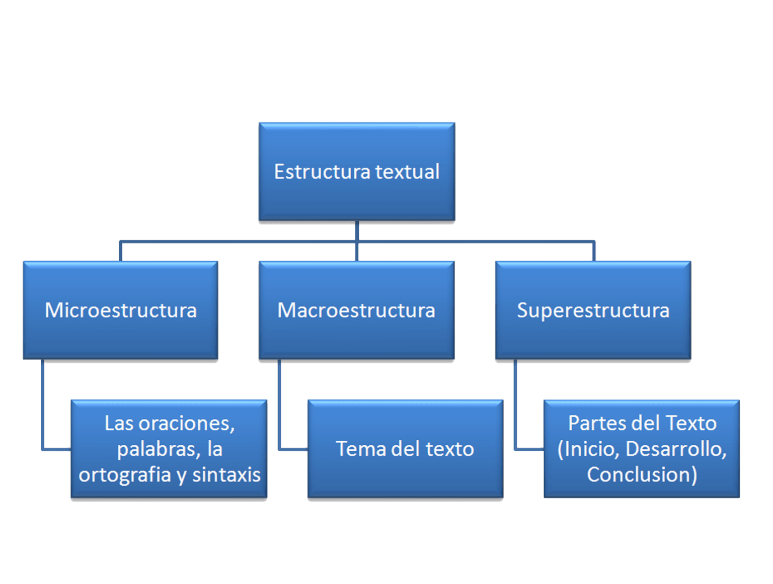 Estructura de un Texto: Tipos y Organización Interna