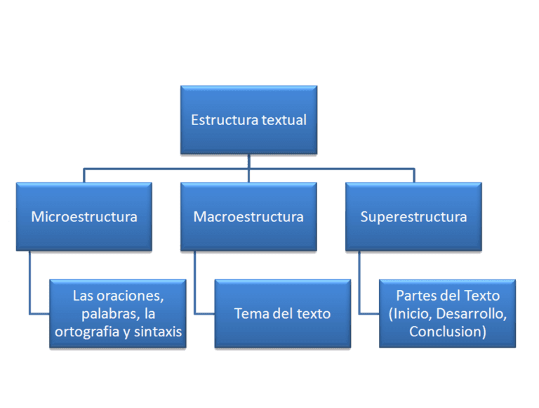 Estructura de un Texto: Tipos y Organización Interna