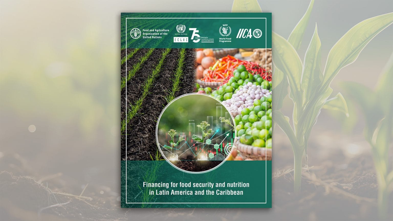 FAO: La Organización Mundial Contra el Hambre