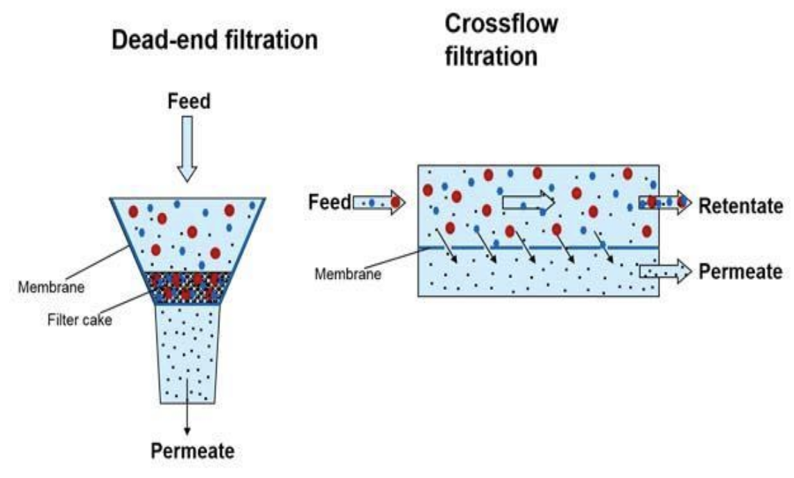 Filtración: Tipos, Métodos y Aplicaciones