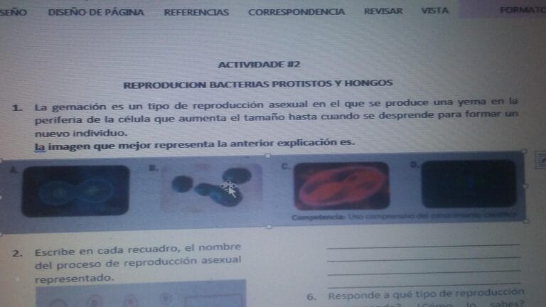 Gemación: Reproducción Asexual de Plantas y Más