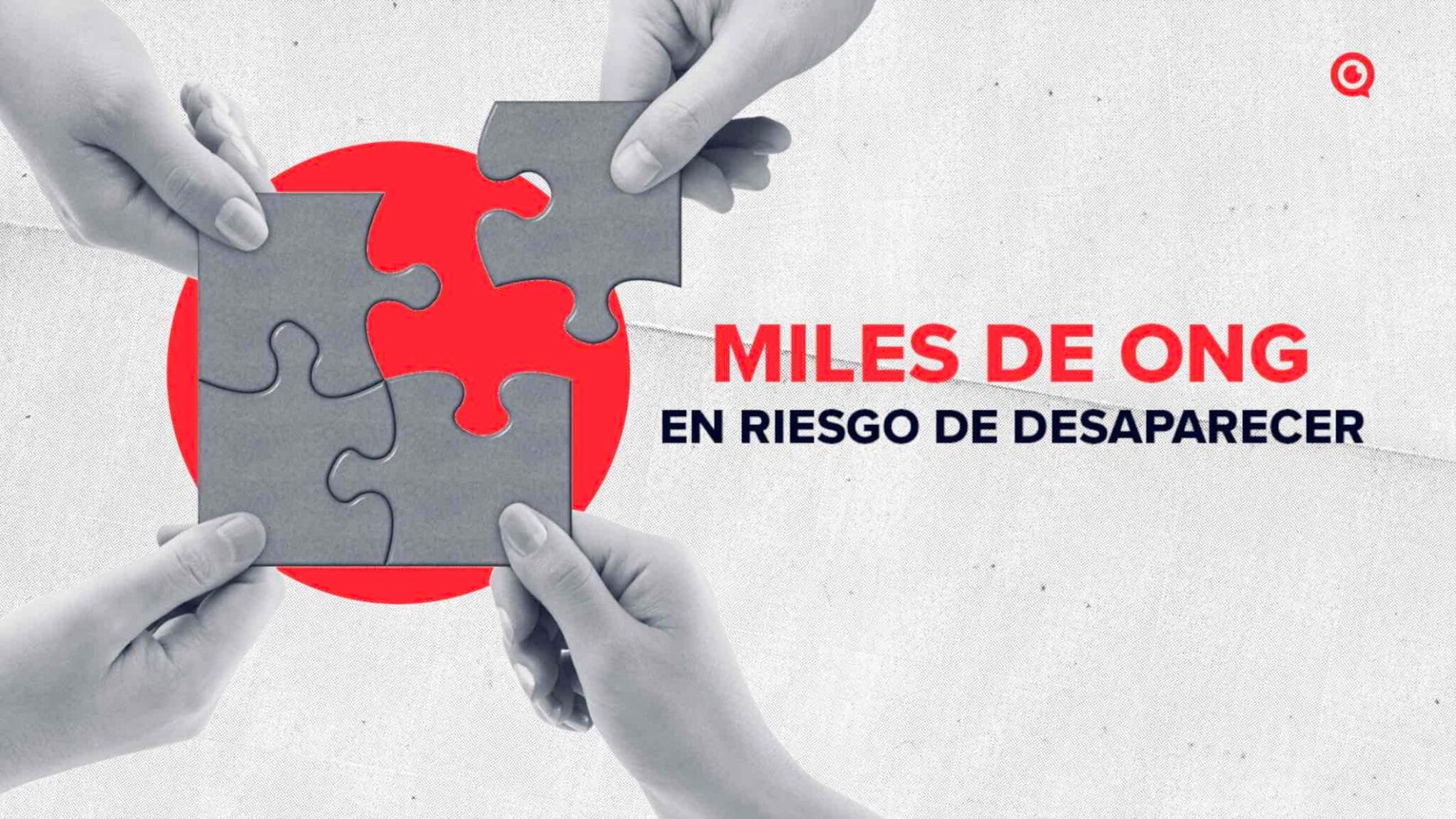 ONG: Definición, Tipos y Ejemplos Clave