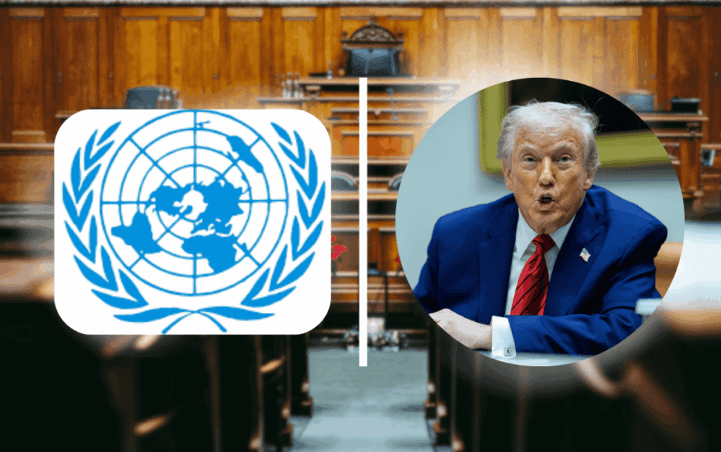 ONU: La Organización Mundial para la Paz y la Seguridad