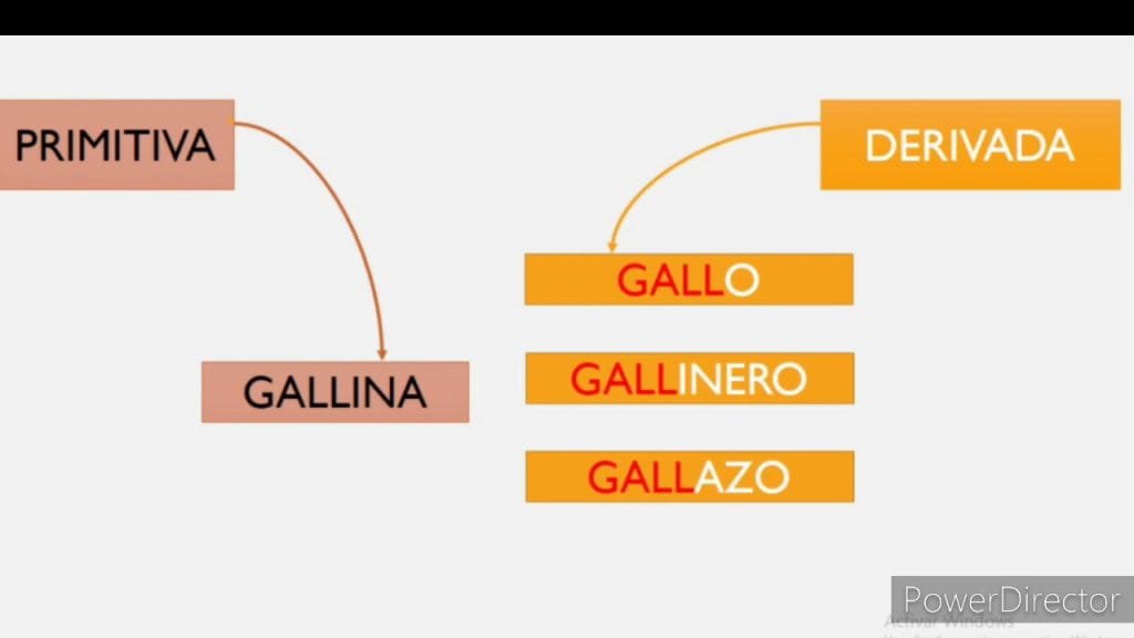 Palabras Primitivas y Derivadas: Características