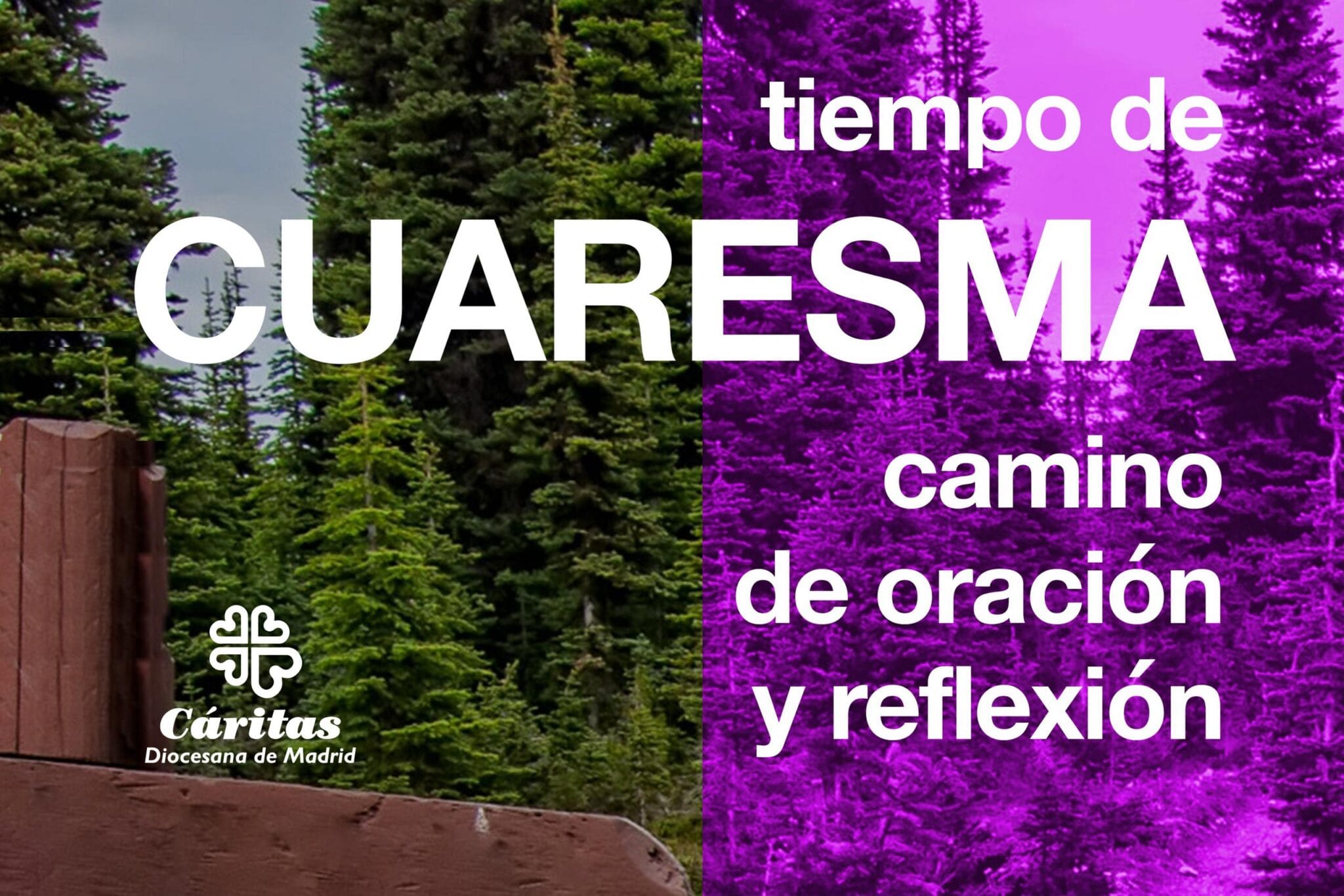 Reflexión: Definición, Tipos y Ejemplos