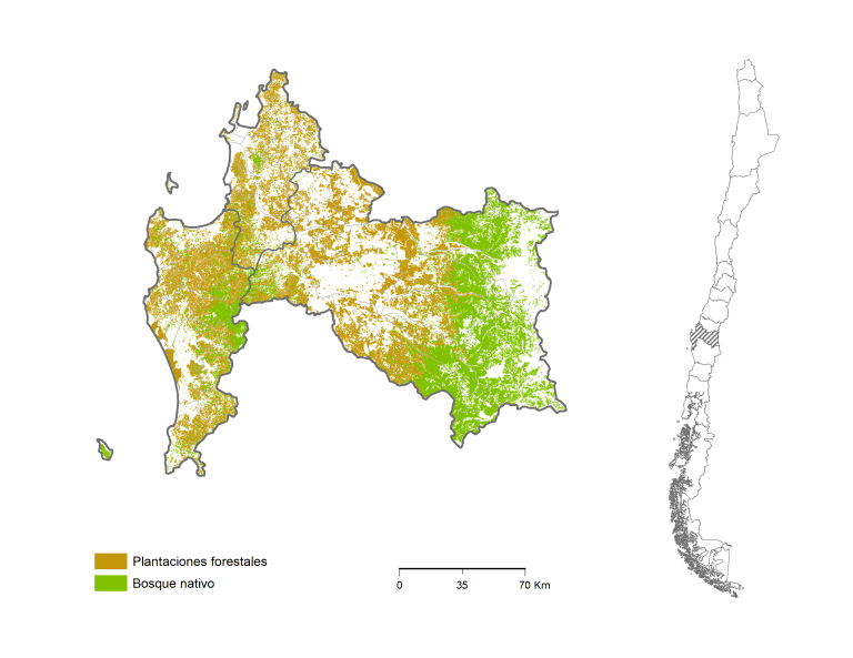 Región: Definiciones y Tipos en Geografía