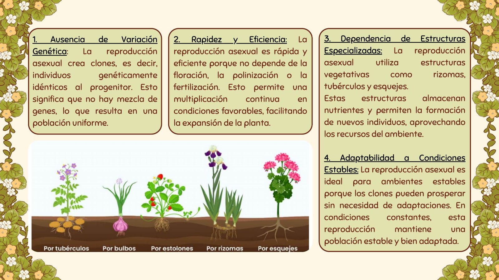 Reproducción de las Plantas: Tipos y Proceso