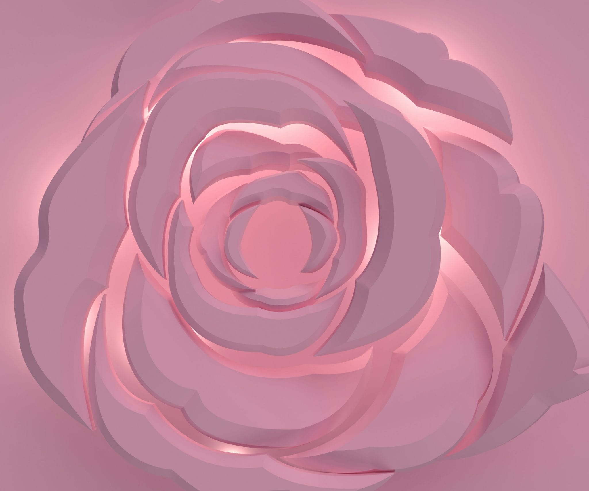 Roza o Rosa: Significado y Uso Correcto